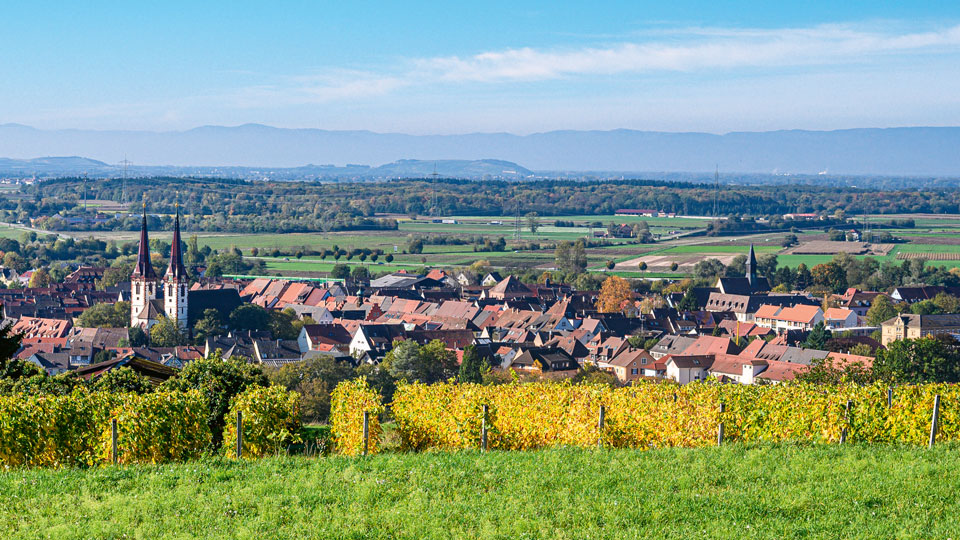 Lebendige Geschichte(n): Kenzingen im Porträt | chilli:freiburg ...